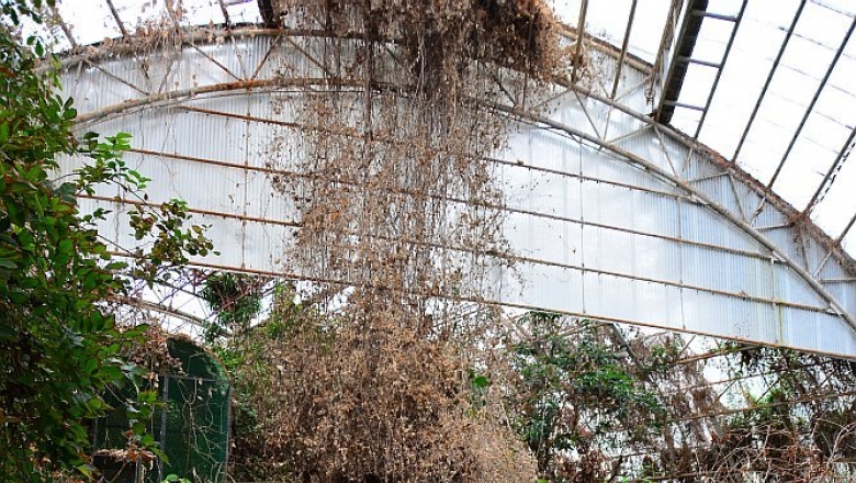 Parque abandonado al estilo "Jurassic Park" - Revista Viajeros
